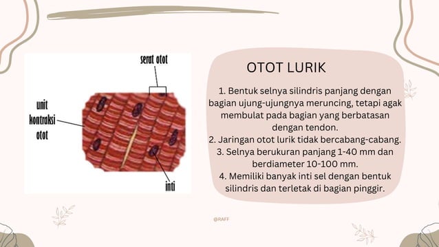 Mengenali Jaringan Otot Dan Saraf.pptx.free