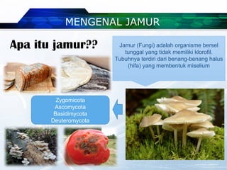 Budidaya Jamur TIram putih pembibitan dan pembesaran.pptx