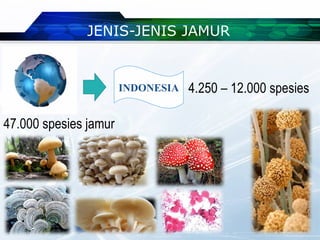 Budidaya Jamur TIram putih pembibitan dan pembesaran.pptx