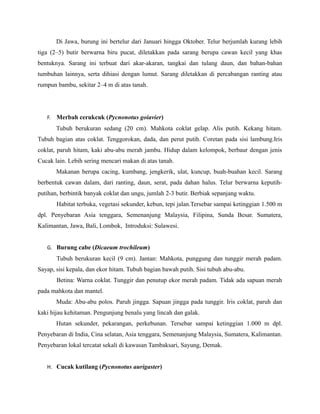 Mengenal jenis burung | DOC