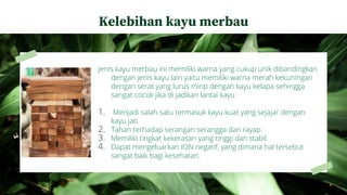 Mengenal kayu merbau | PPTX
