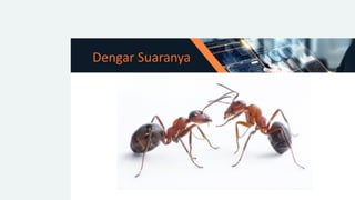 Mengenal Konsep dan implementasi Deep Learning.pptx