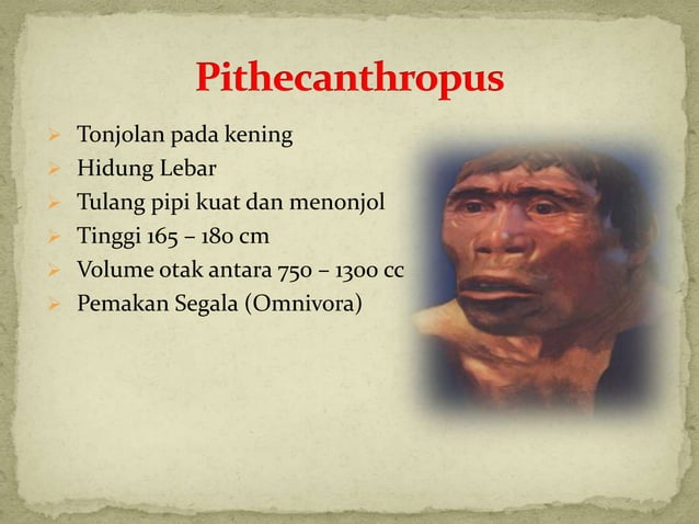 Mengenal manusia purba | PPT