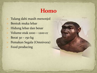 Mengenal manusia purba | PPT