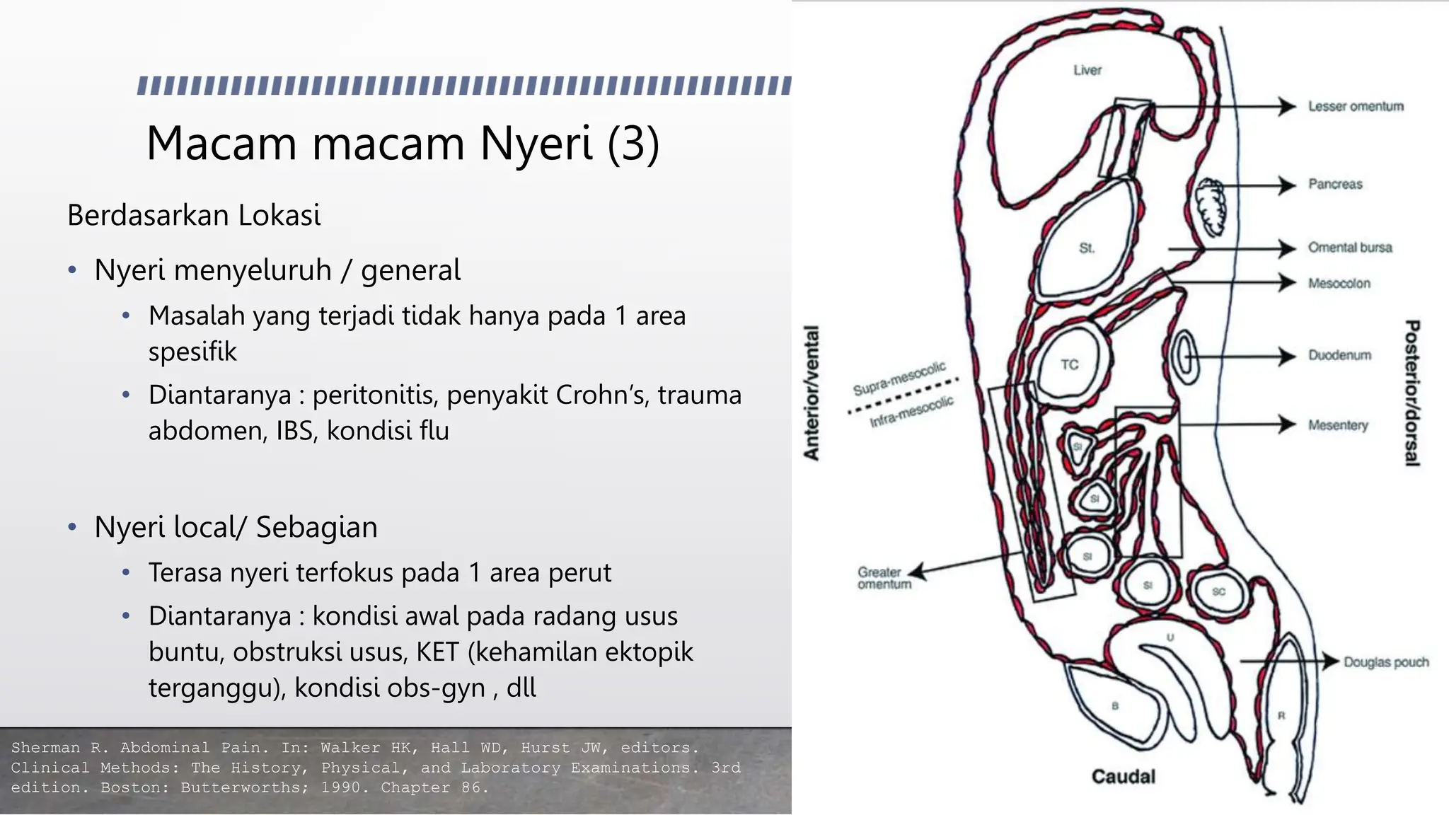 Mengenal Nyeri Perut tentang jenis dan karakteristik.pptx