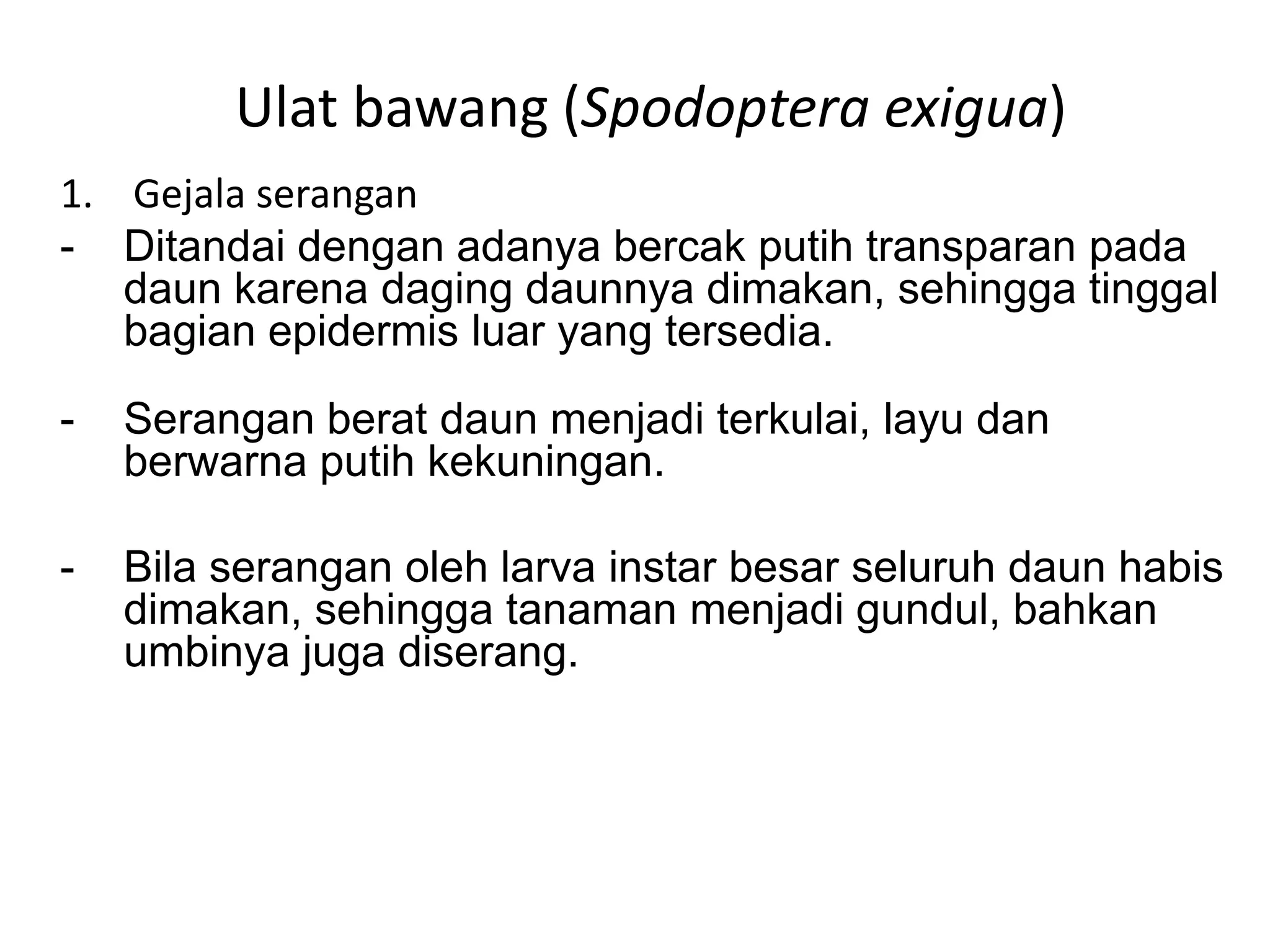 Mengenal hama dan penyakit dalam budidaya Bawang Merah.pptx