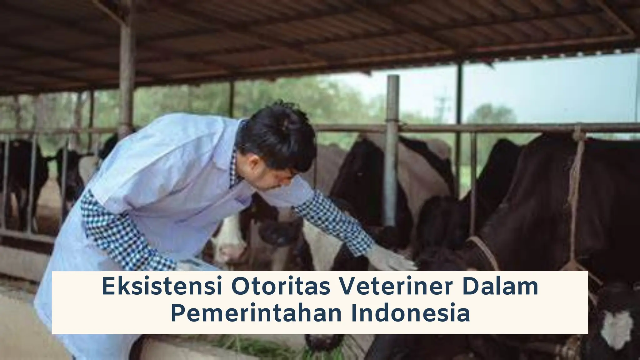 Mengenal Otoritas Veteriner dan Eksistensinya di Indonesia - IMAKAHI VISI 2024 UGM, 2 Juni 2024 ...