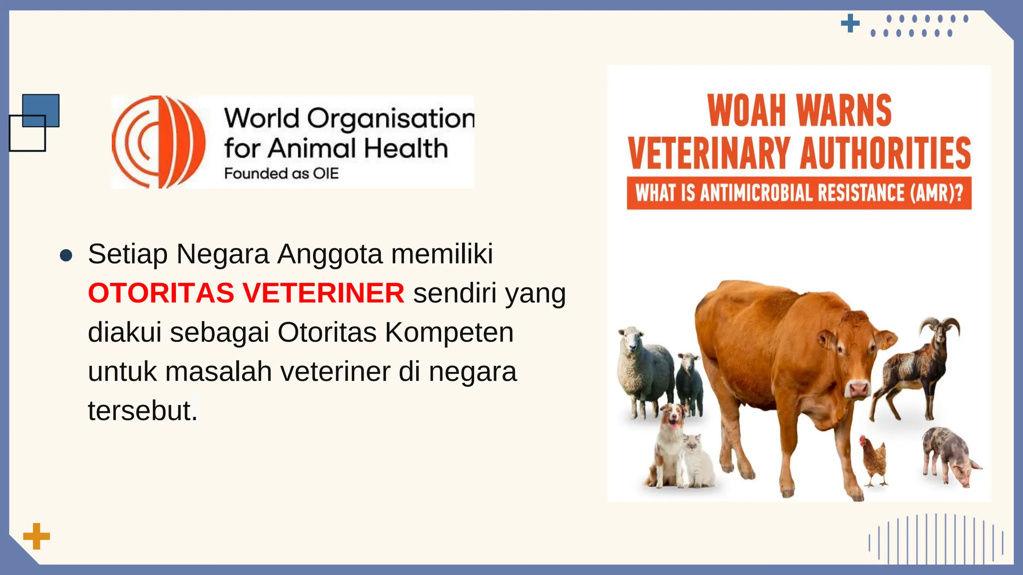 Mengenal Otoritas Veteriner dan Eksistensinya di Indonesia - IMAKAHI VISI 2024 UGM, 2 Juni 2024 ...