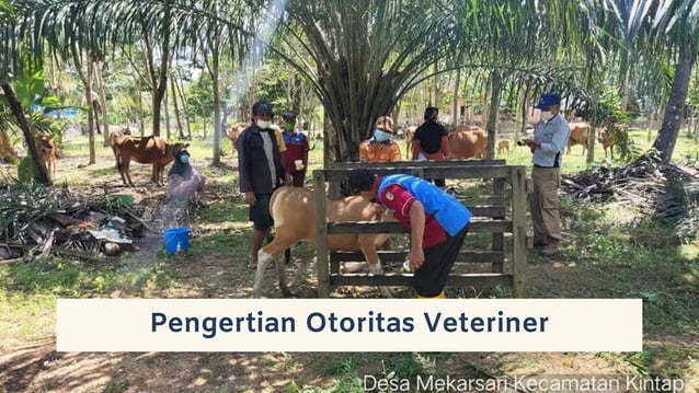 Mengenal Otoritas Veteriner dan Eksistensinya di Indonesia - IMAKAHI VISI 2024 UGM, 2 Juni 2024 ...