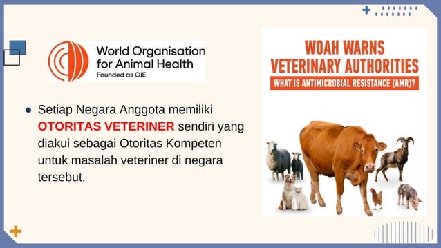 Mengenal Otoritas Veteriner dan Eksistensinya di Indonesia - IMAKAHI ...