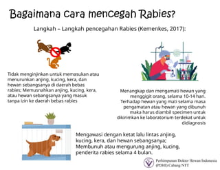 Mengenal Penyakit Rabies dan pencegahannya.pptx