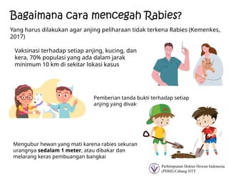 Mengenal Penyakit Rabies dan pencegahannya.pptx
