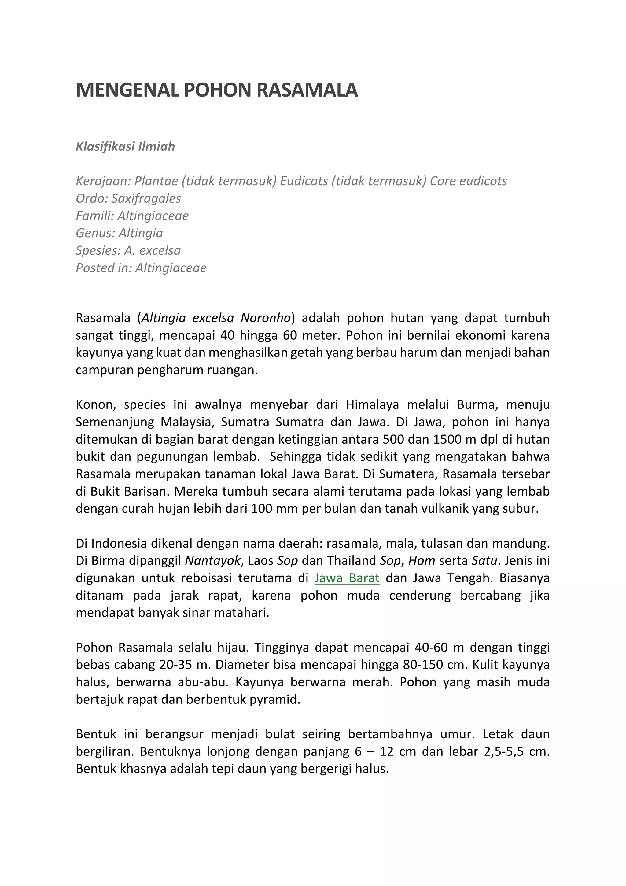 Mengenal pohon rasamala | PDF