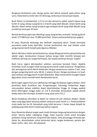 Mengenal pohon rasamala | PDF