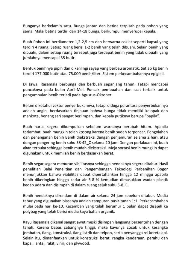 Mengenal pohon rasamala | PDF