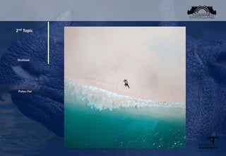 MENGENAL POKDARWIS.pptx