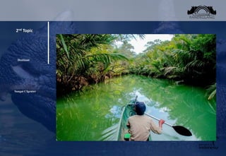 MENGENAL POKDARWIS.pptx