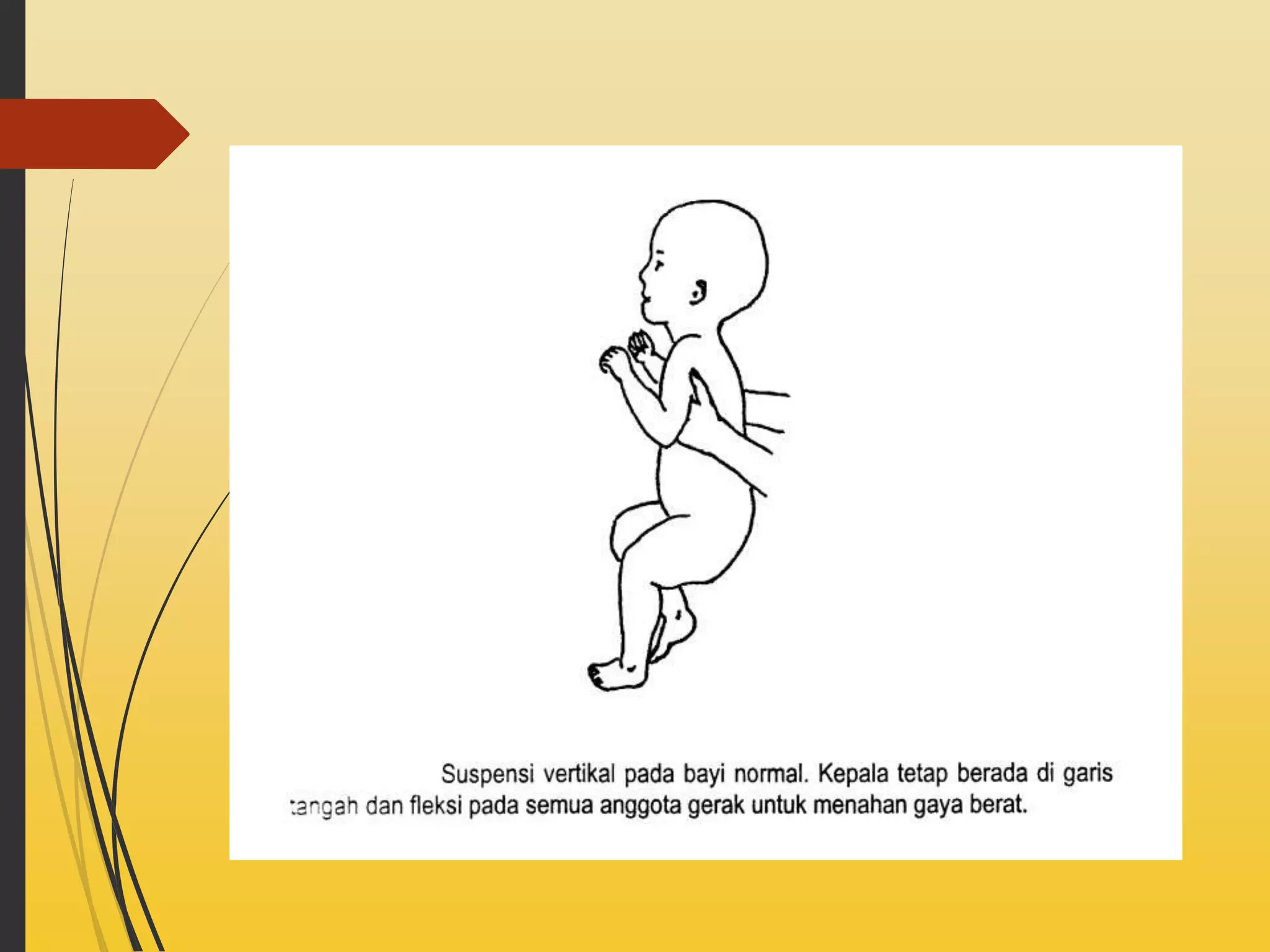 Mengenal refleks-refleks fisiologis primitif pada bayi baru 2019 (1).pptx