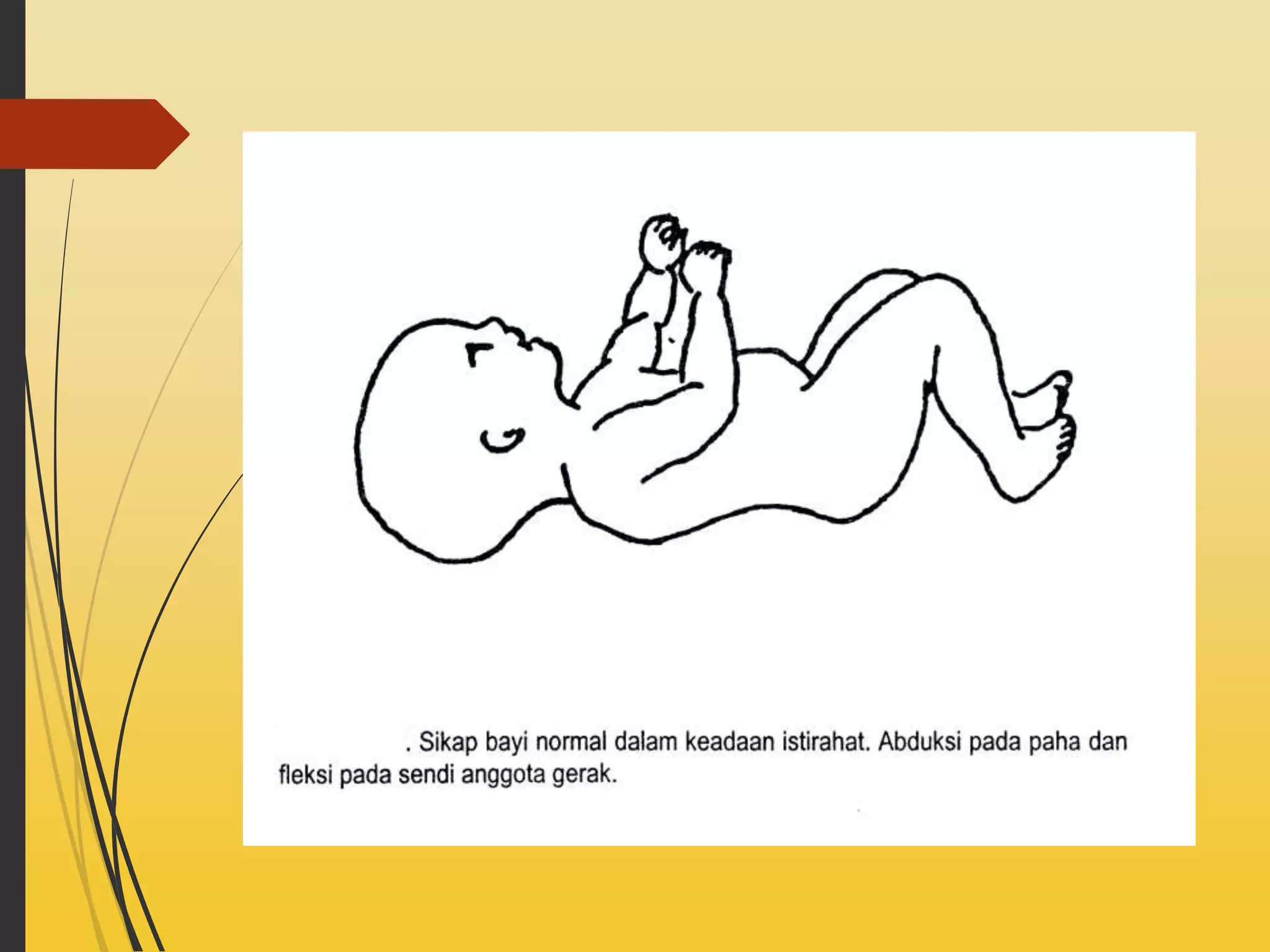 Mengenal refleks-refleks fisiologis primitif pada bayi baru 2019 (1).pptx