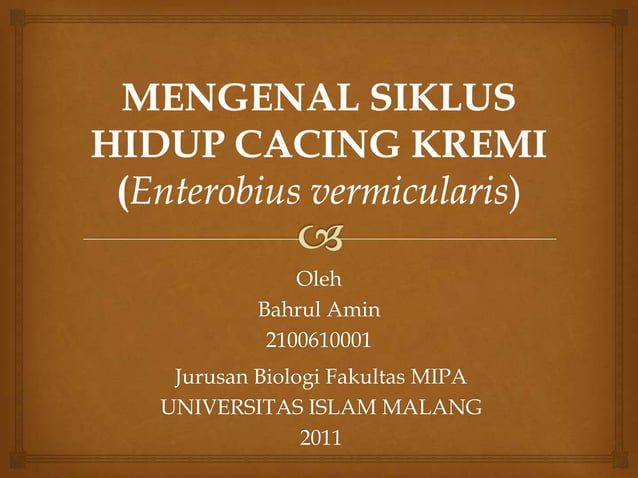 Mengenal siklus hidup cacing kremi (Enterobius vermicularis) | PPTX