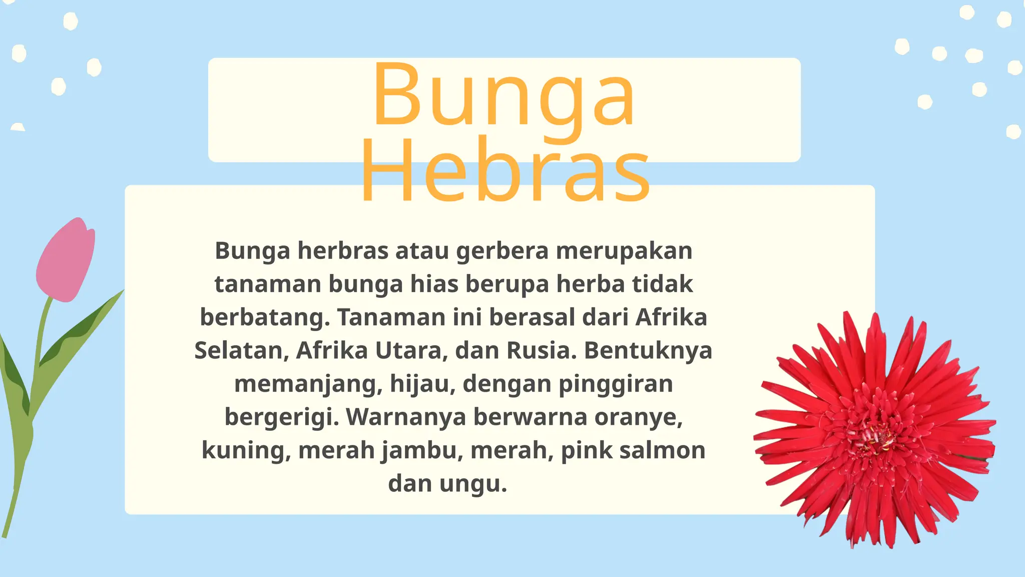 Mengenal Tanaman Bunga Hiass PLH Kelas 4 | PPT