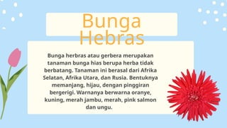 Mengenal Tanaman Bunga Hiass PLH Kelas 4 | PPT
