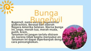 Mengenal Tanaman Bunga Hiass PLH Kelas 4 | PPT