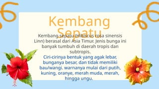 Mengenal Tanaman Bunga Hiass PLH Kelas 4 | PPT