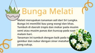 Mengenal Tanaman Bunga Hiass PLH Kelas 4 | PPTX