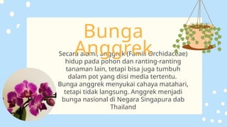 Mengenal Tanaman Bunga Hiass PLH Kelas 4 | PPT