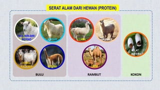 Mengenal Tekstil | PDF