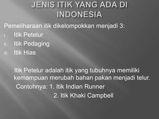 Mengenal ternal itik | PPT