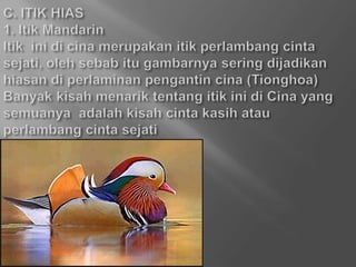 Mengenal ternal itik | PPT