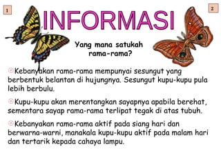 Menggunakan Buku Ayu Si Rama Rama | PPS