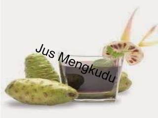 Deskripsi Mengkudu | PPTX