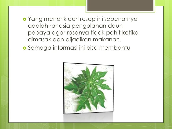 Mengolah daun pepaya tanpa rasa pahit Mengolah daun pepaya tanpa rasa pahit