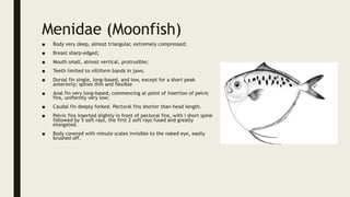 Menidae, Carangidae, Leiognathidae amd Bramidae.pptx