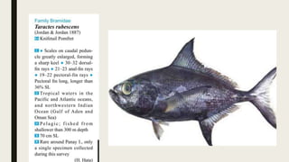Menidae, Carangidae, Leiognathidae amd Bramidae.pptx