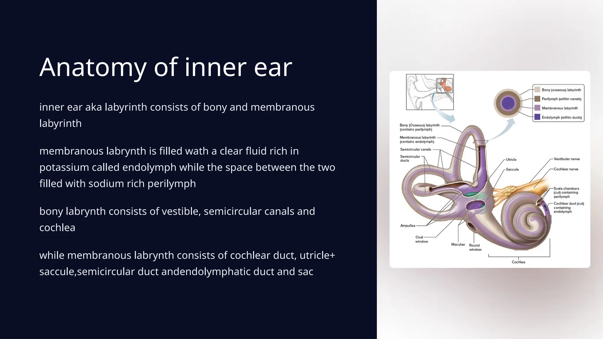 Menieres-Disease-An-Inner-Ear-Disorder (2).pptx