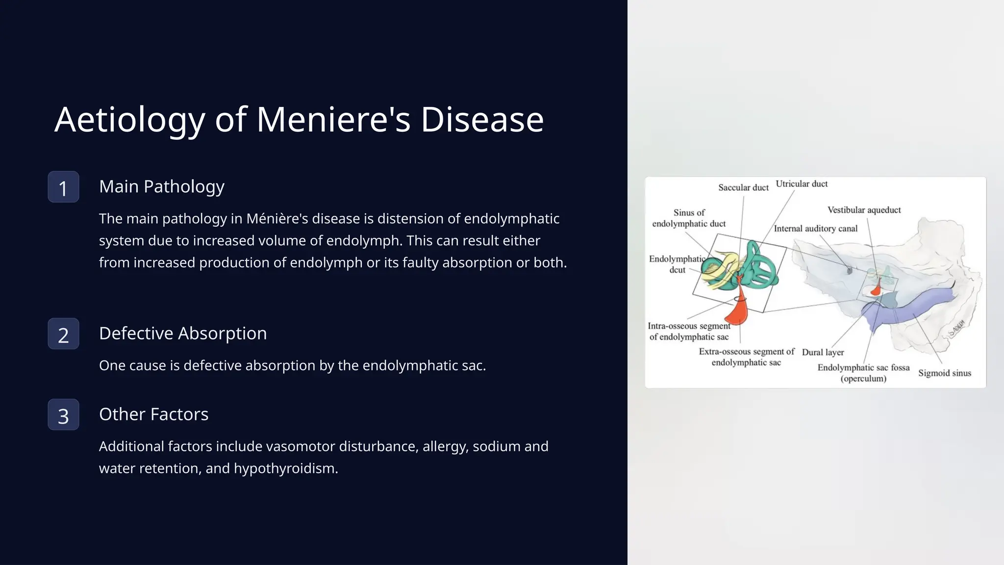 Menieres-Disease-An-Inner-Ear-Disorder (2).pptx
