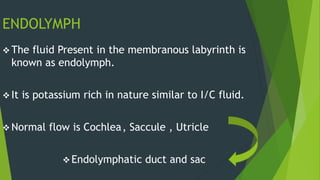 Meniere’s Disease.pptx