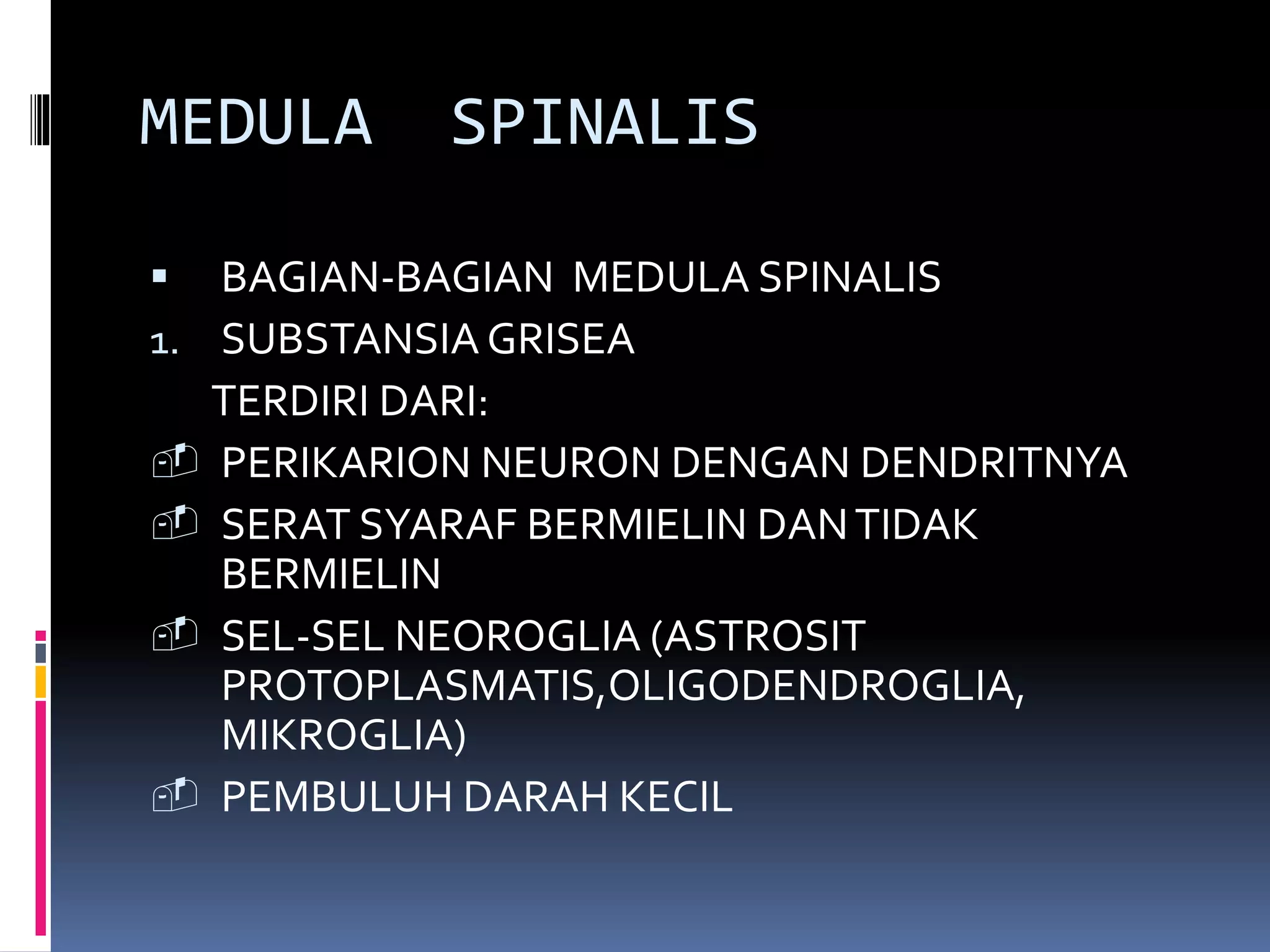 Meningen dan sistem saraf pusat | PPT
