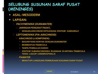 Meningen dan sistem saraf pusat | PPT
