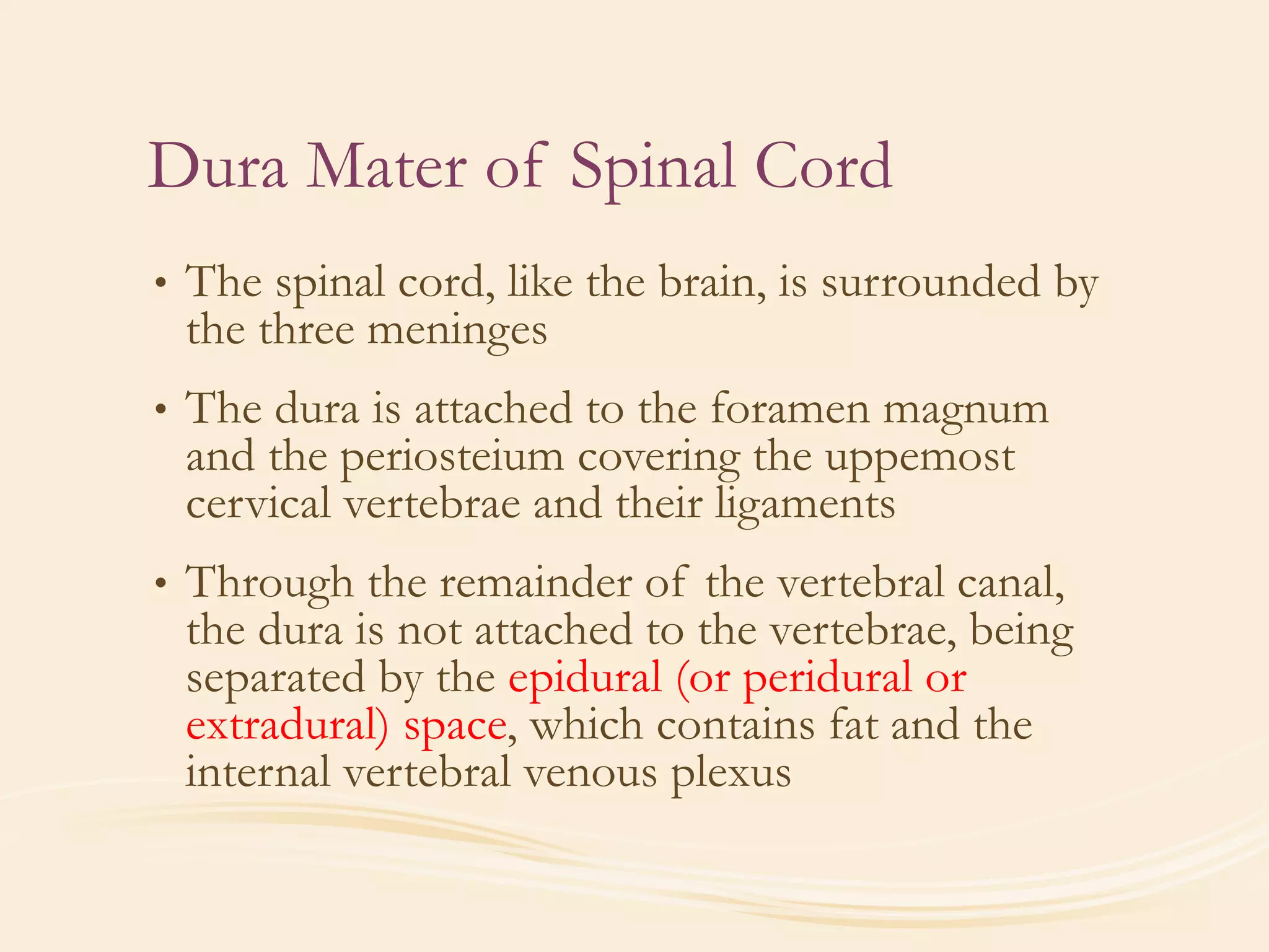 Meninges of brain and spinal cord | PPTX
