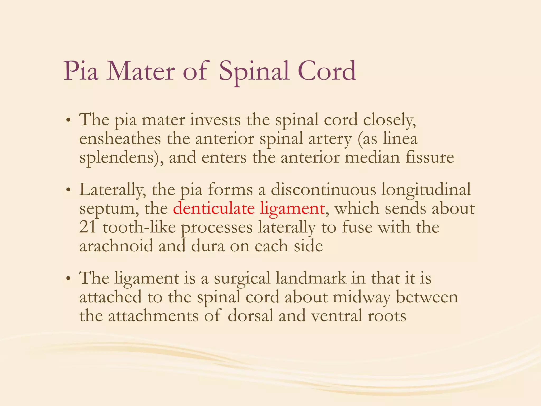 Meninges of brain and spinal cord | PPTX