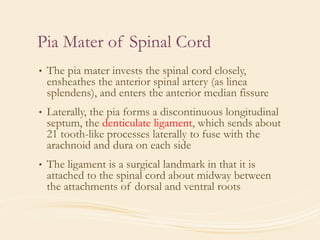 Meninges of brain and spinal cord | PPTX