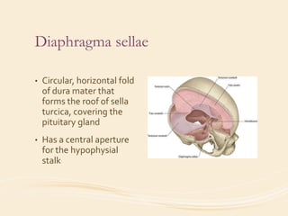 Meninges of brain and spinal cord | PPTX