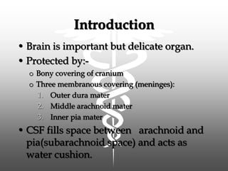 Meninges | PPTX