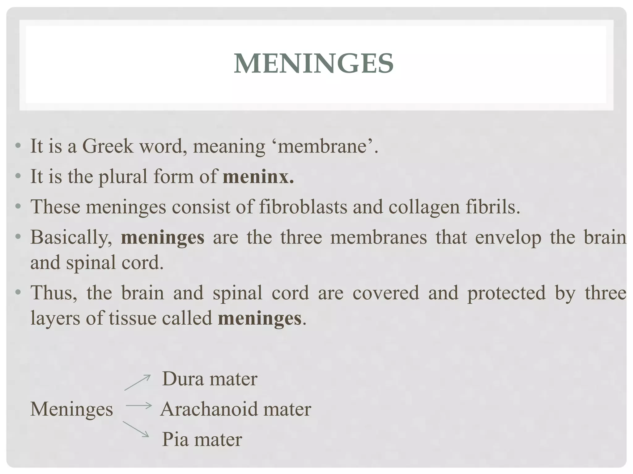 Meninges | PPTX