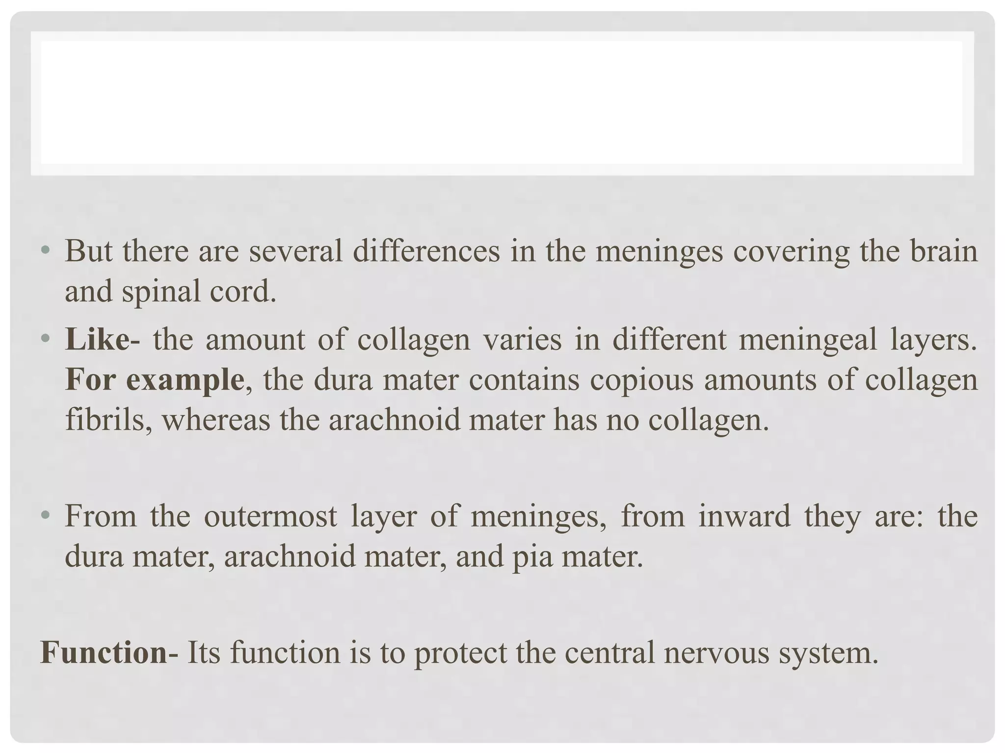 Meninges | PPTX